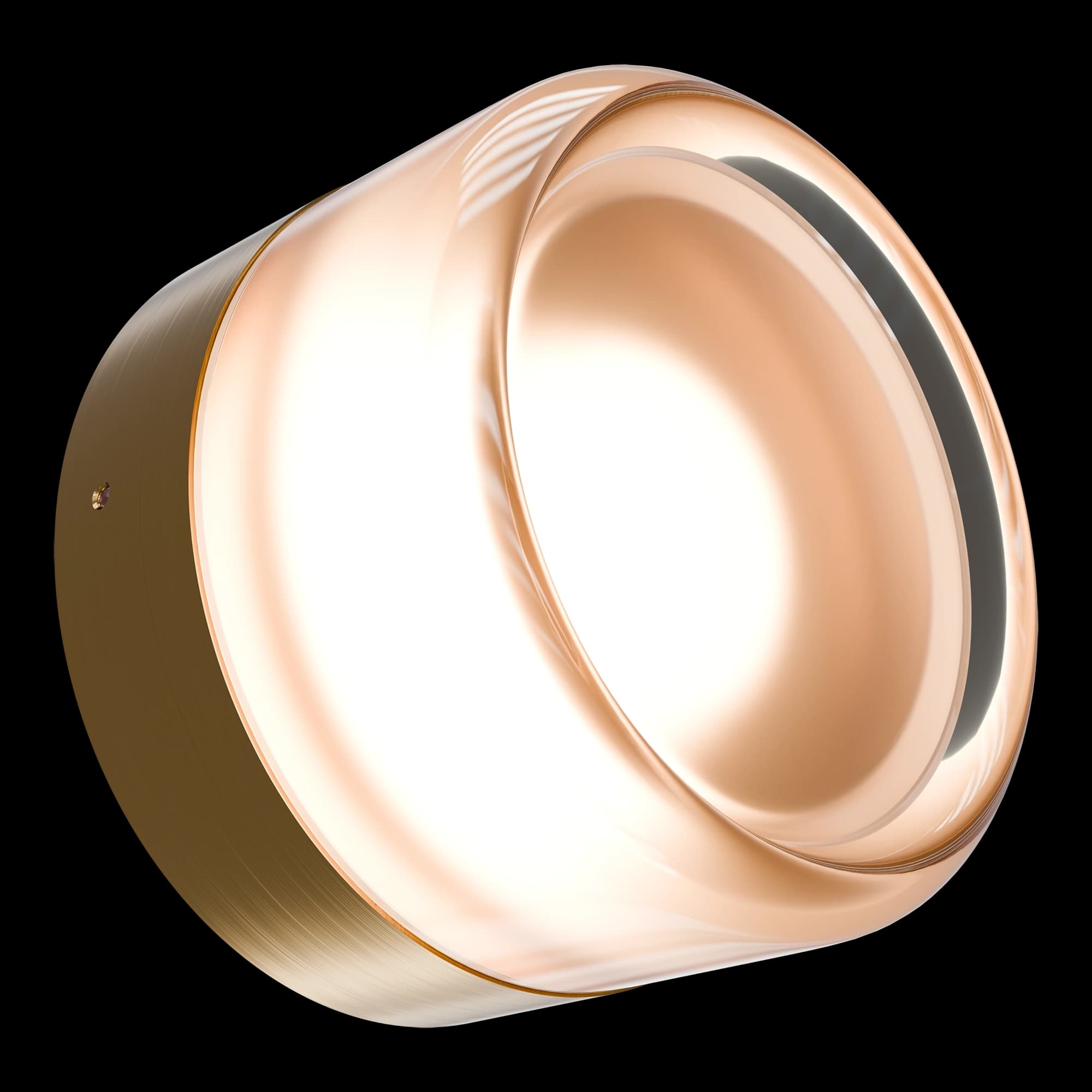 Calibo Gull Round Frosted Acrylic 3CCT LED Exterior Wall Light | Brass ...